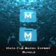 Maya Batch Export Bundle by Fwcolbert3D | 3DOcean